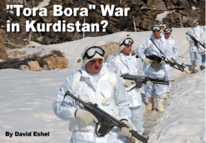 Is the Turkish Army facing a “Tora Bora” War in Kurdistan? - Defense ...