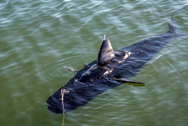 Robotic spy fish conducts underwater surveillance - Defense Update: