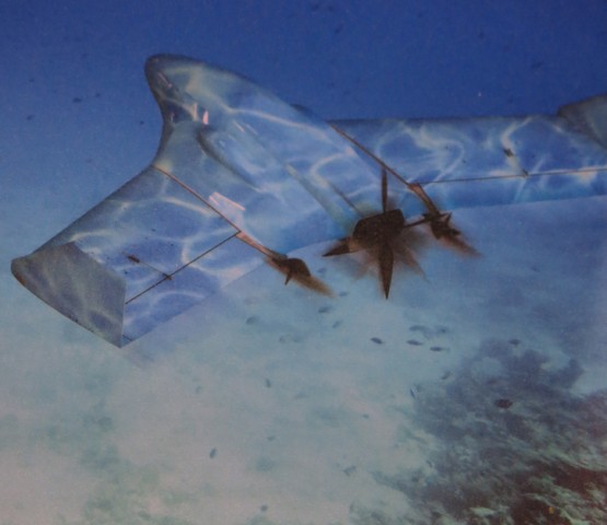 Singapore Technologies’ Hybrid Mini UAV Can Fly and Dive - Defense Update: