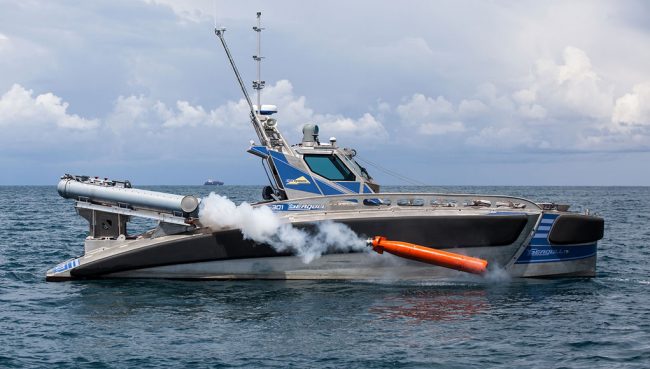 An Unmanned Seagull That Fires Torpedoes! - Defense Update: