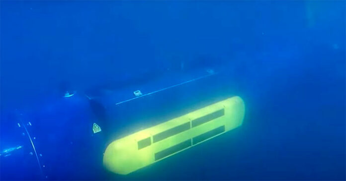 IAI Introduces: BLUE WHALE Large AUV - Defense Update: